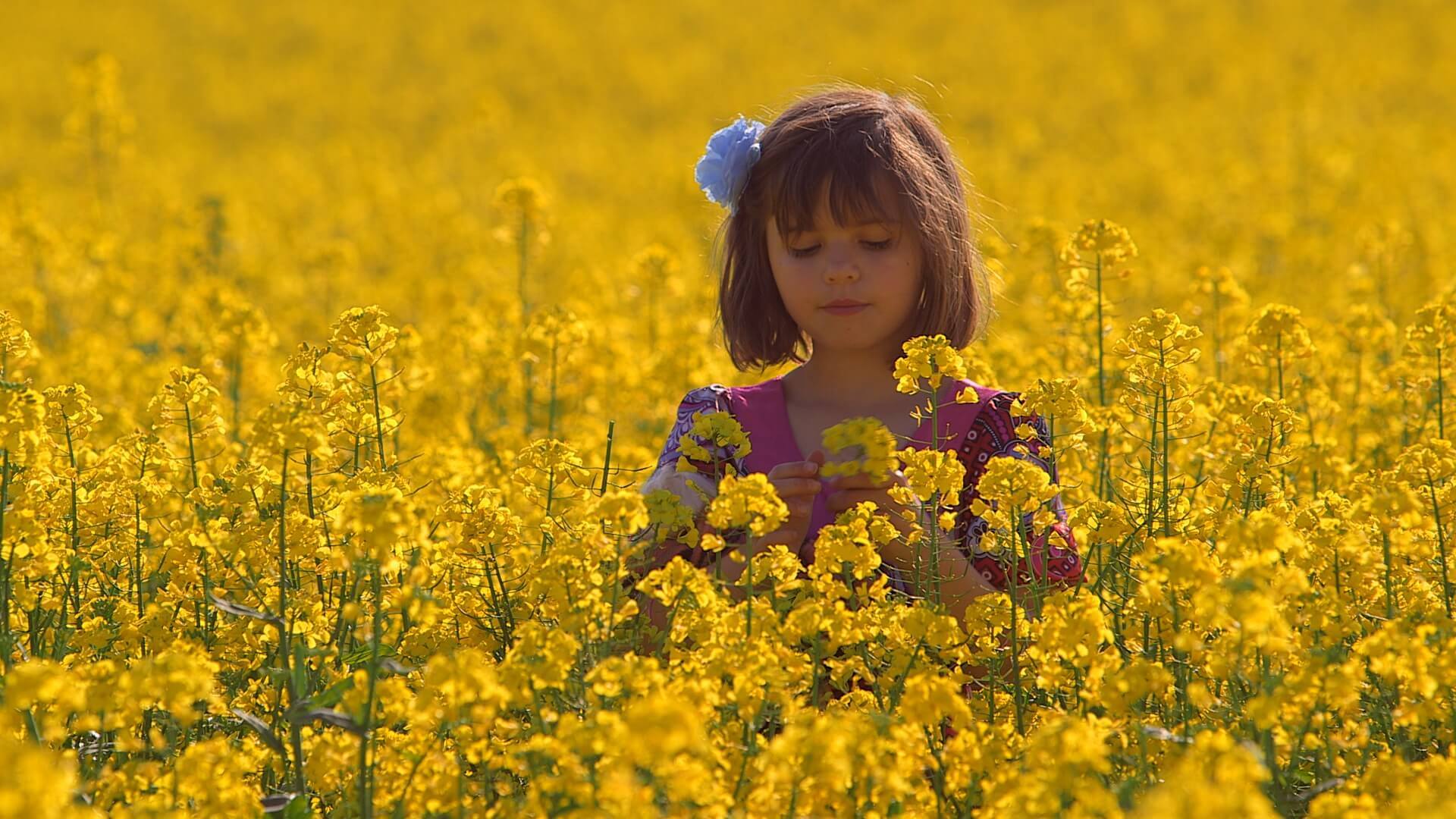 All Films - Curzon Home Cinema