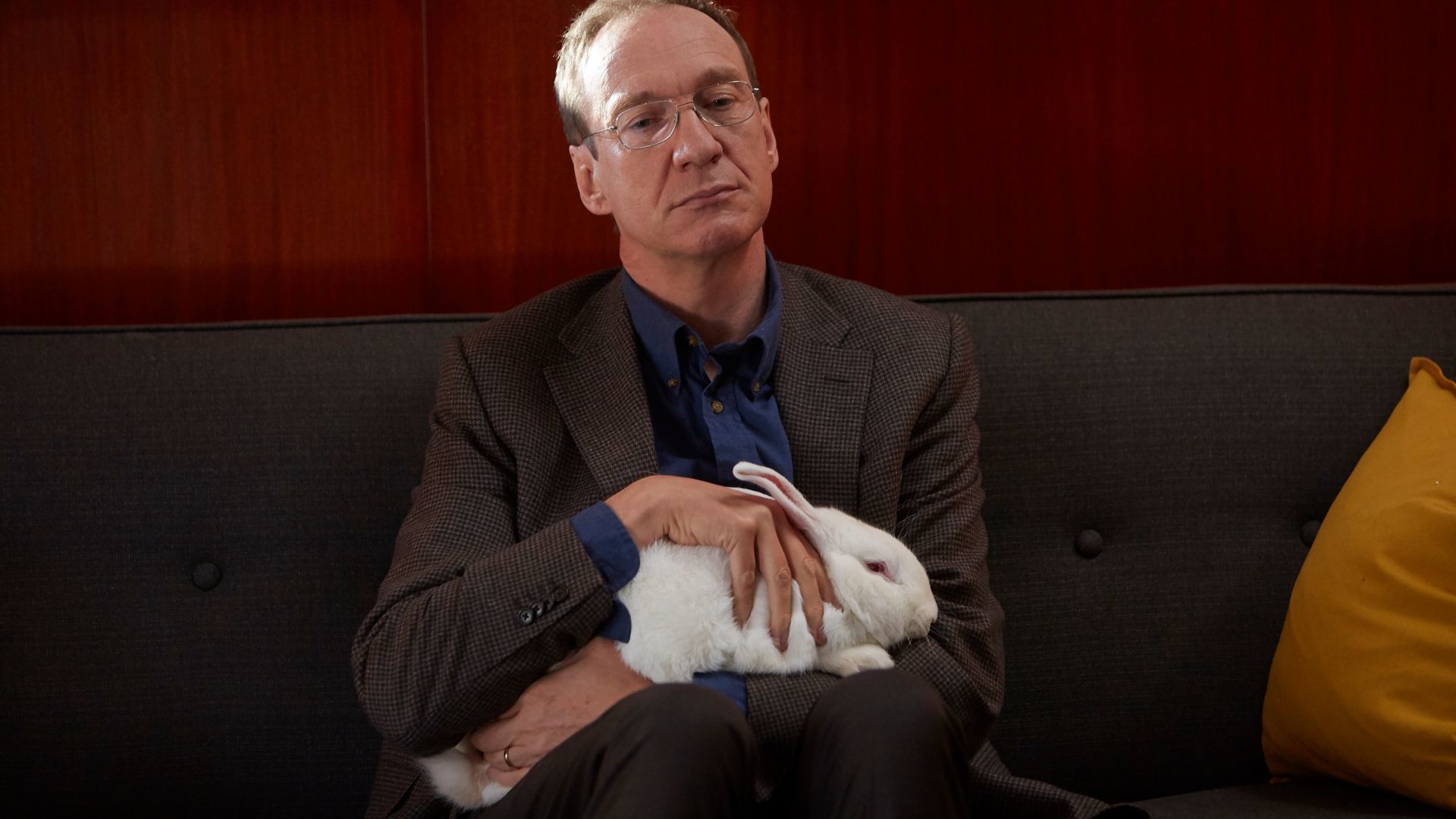 Countries Collections - Curzon Home Cinema