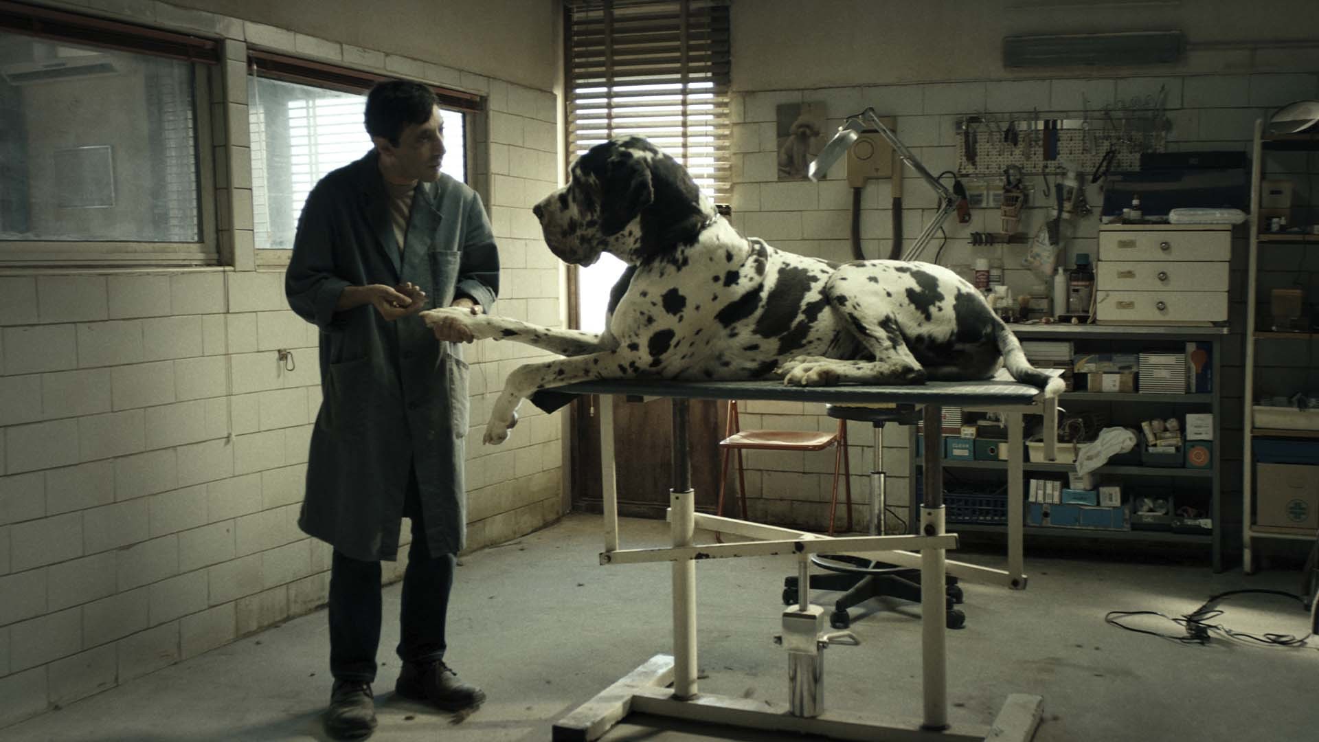 Watch Italian Films & Movies Online - Curzon Home Cinema