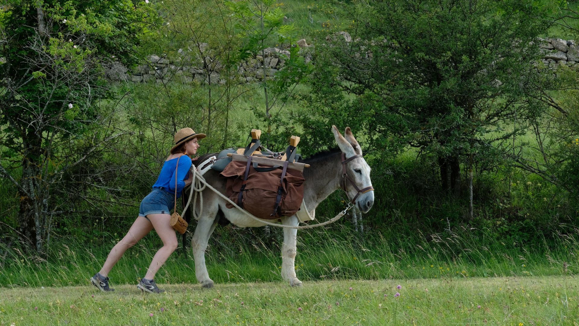 Genre Collections - Curzon Home Cinema