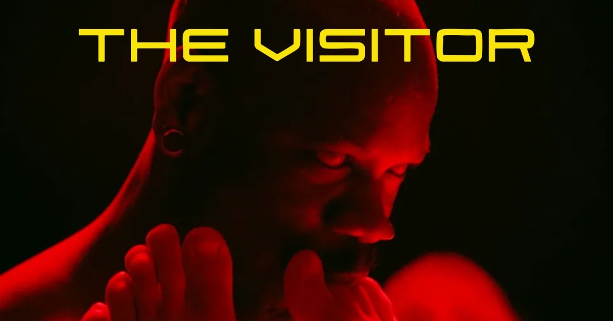 The Visitor