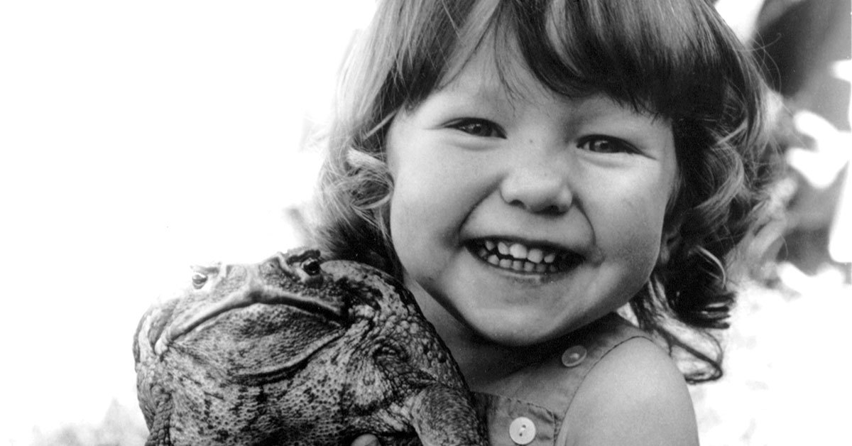 NFSA Player | Stream Cane Toads - An Unnatural History