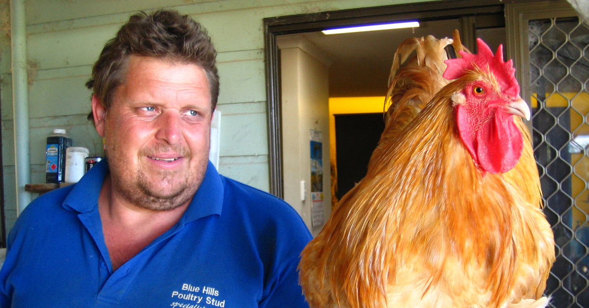 NFSA Player | Stream Rare Chicken Rescue