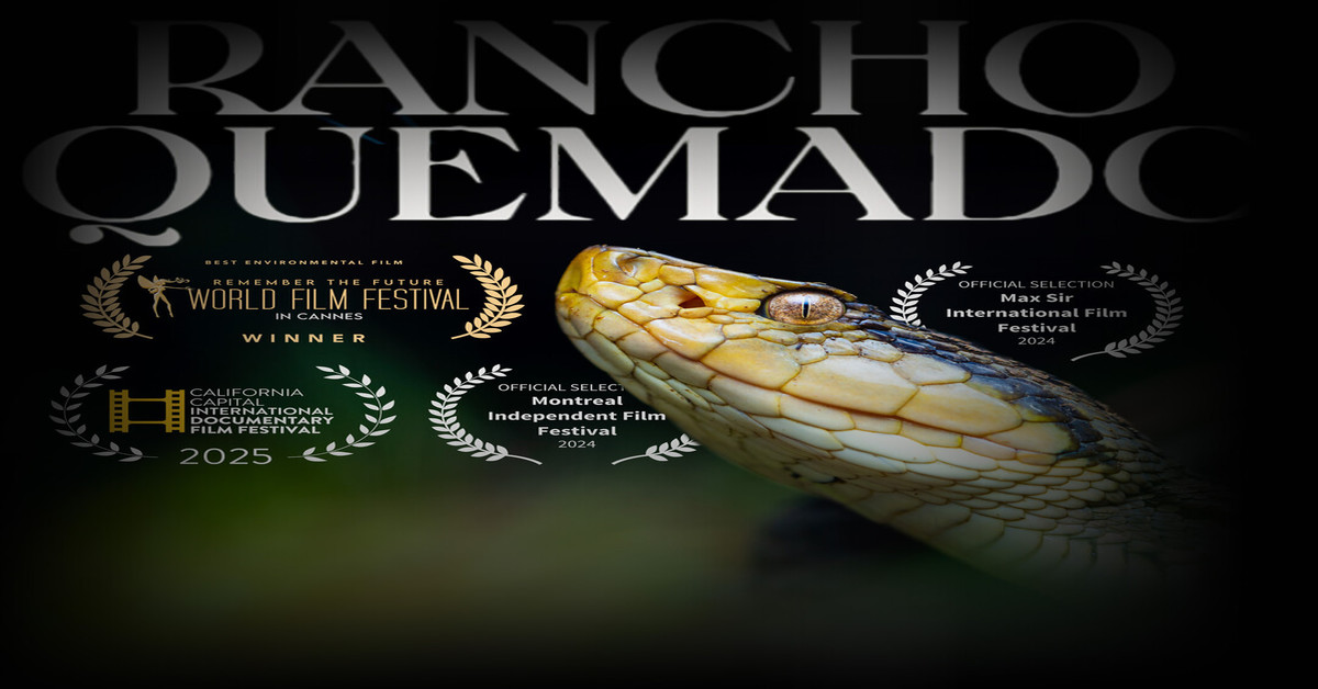 Phare Stories RANCHO QUEMADO A Sanctuary For Independent Cinema